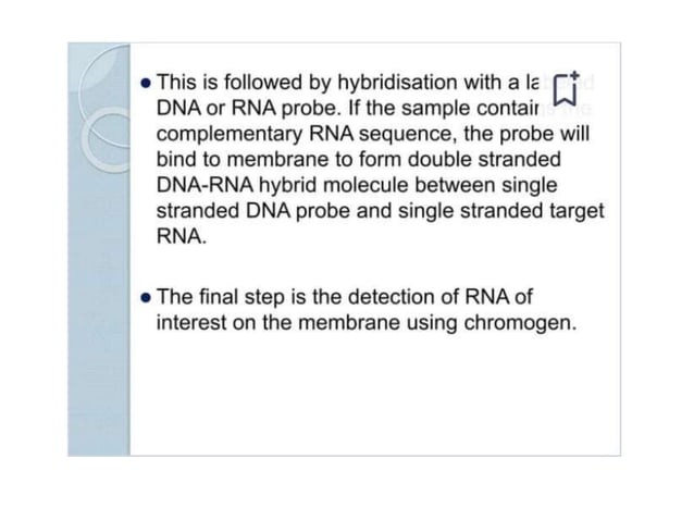 Northern Blotting PPT ( The transfer of RNA to membrane) | PPT