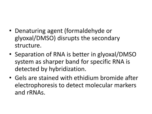 Northern Blotting PPT ( The transfer of RNA to membrane) | PPT