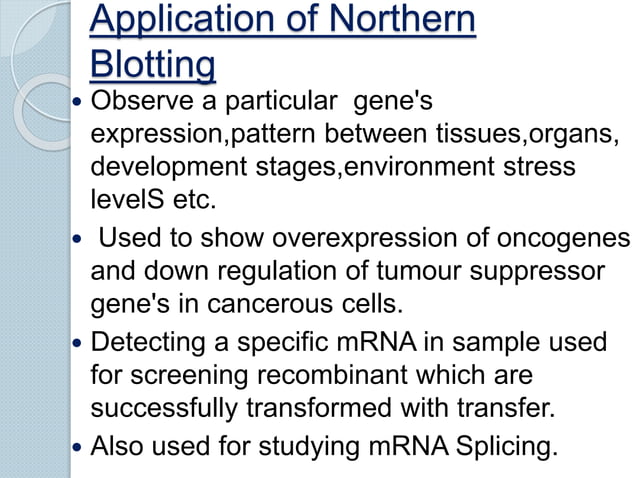 Northern blotting | PPTX | Chemistry | Science