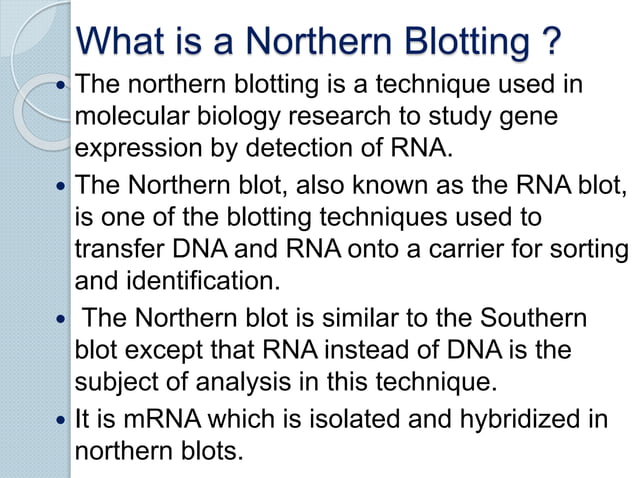 Northern blotting | PPTX | Chemistry | Science