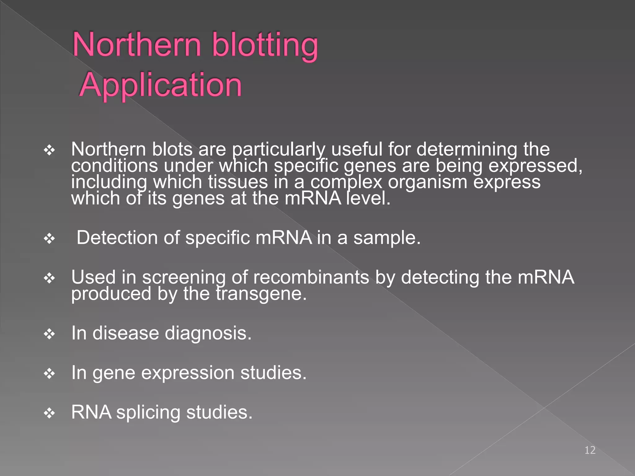 Northern blotting ppt | PPTX