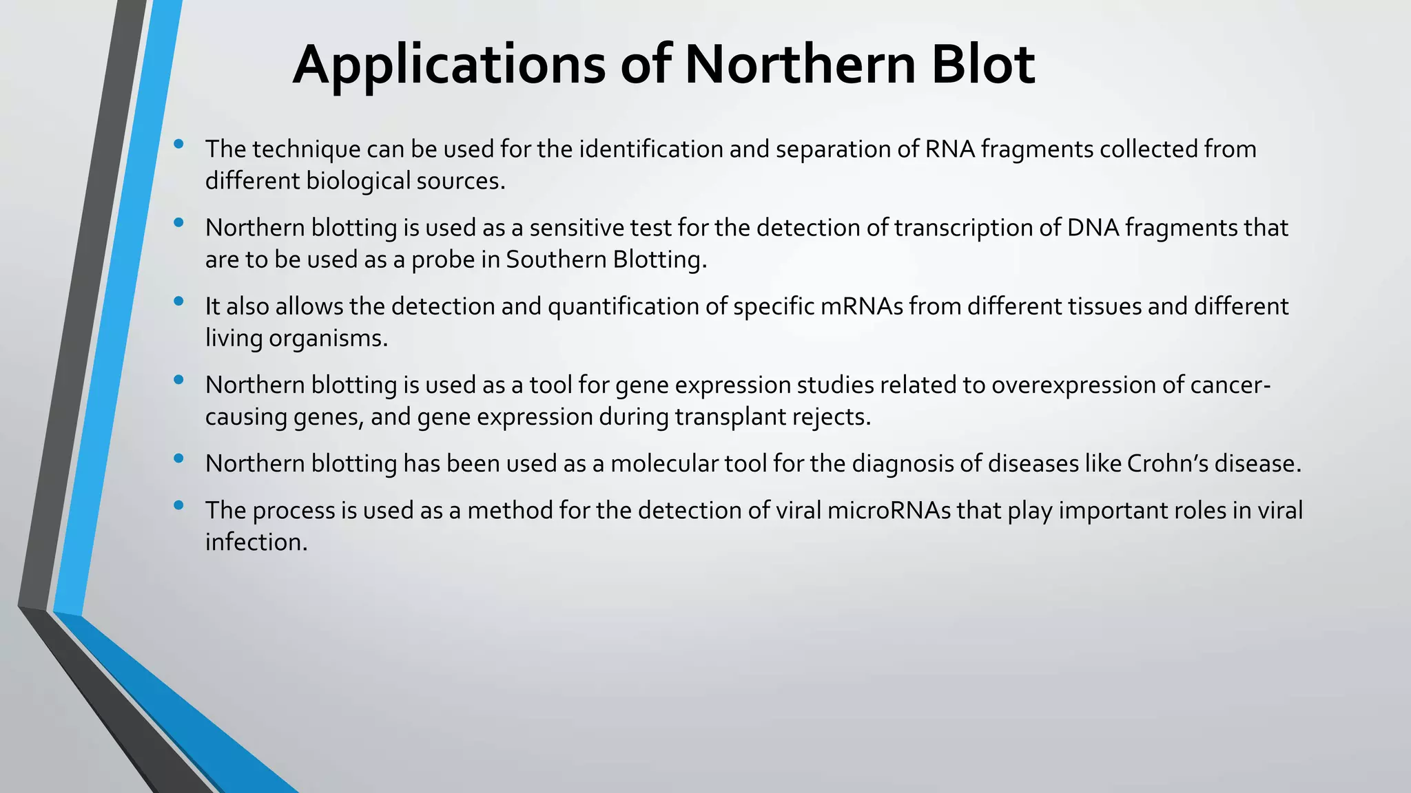 Northern Blotting Presentation.pptx