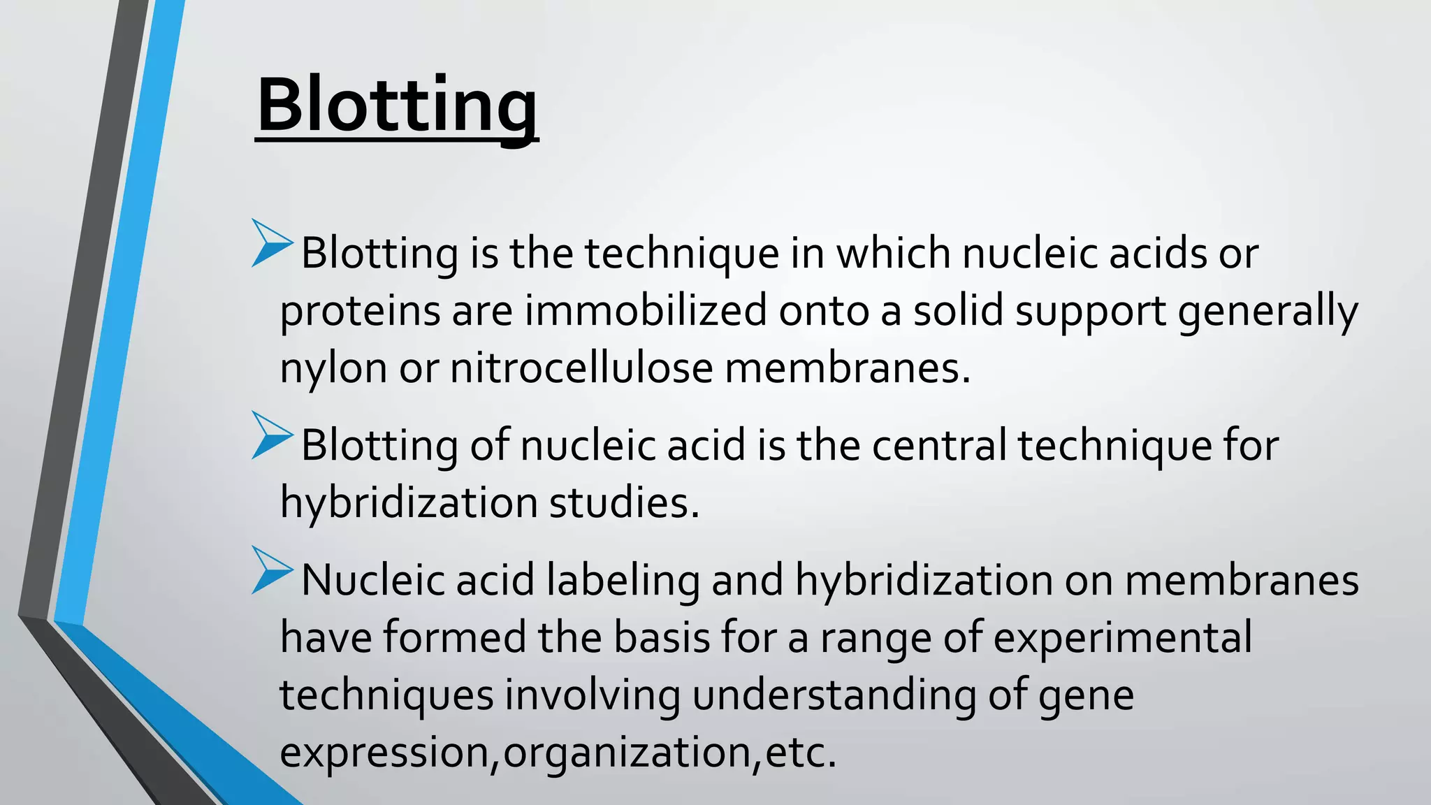 Northern Blotting Presentation.pptx