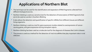 Northern Blotting Presentation.pptx