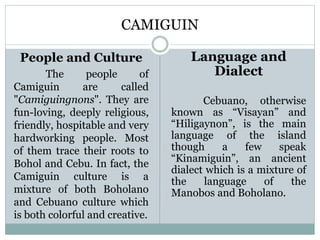 Northern mindanao presentation | PPTX