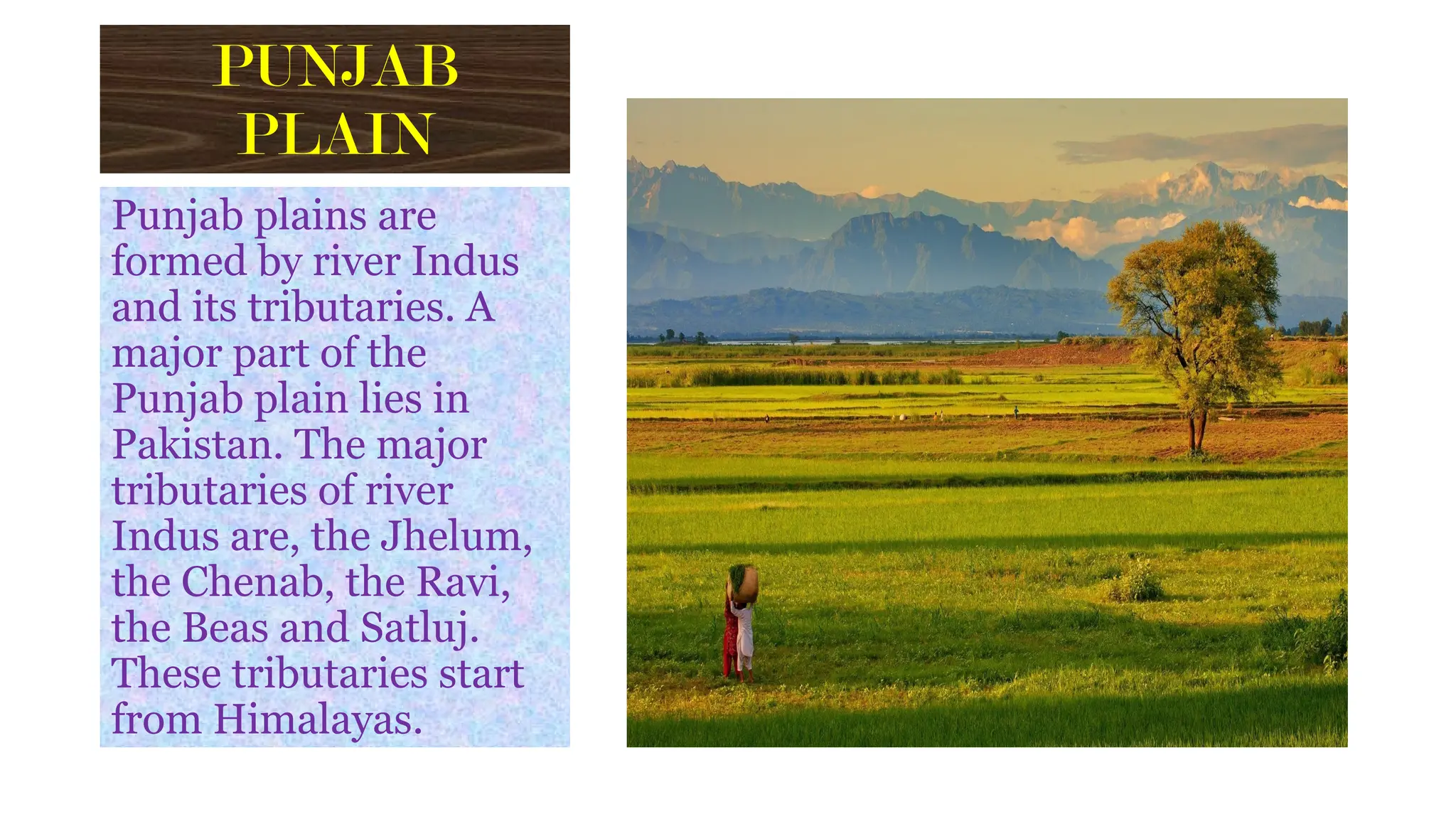 The northern plains of India presentation.pptx