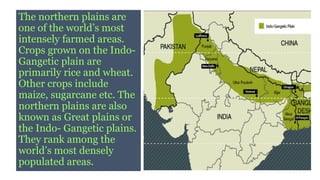 The northern plains of India presentation.pptx