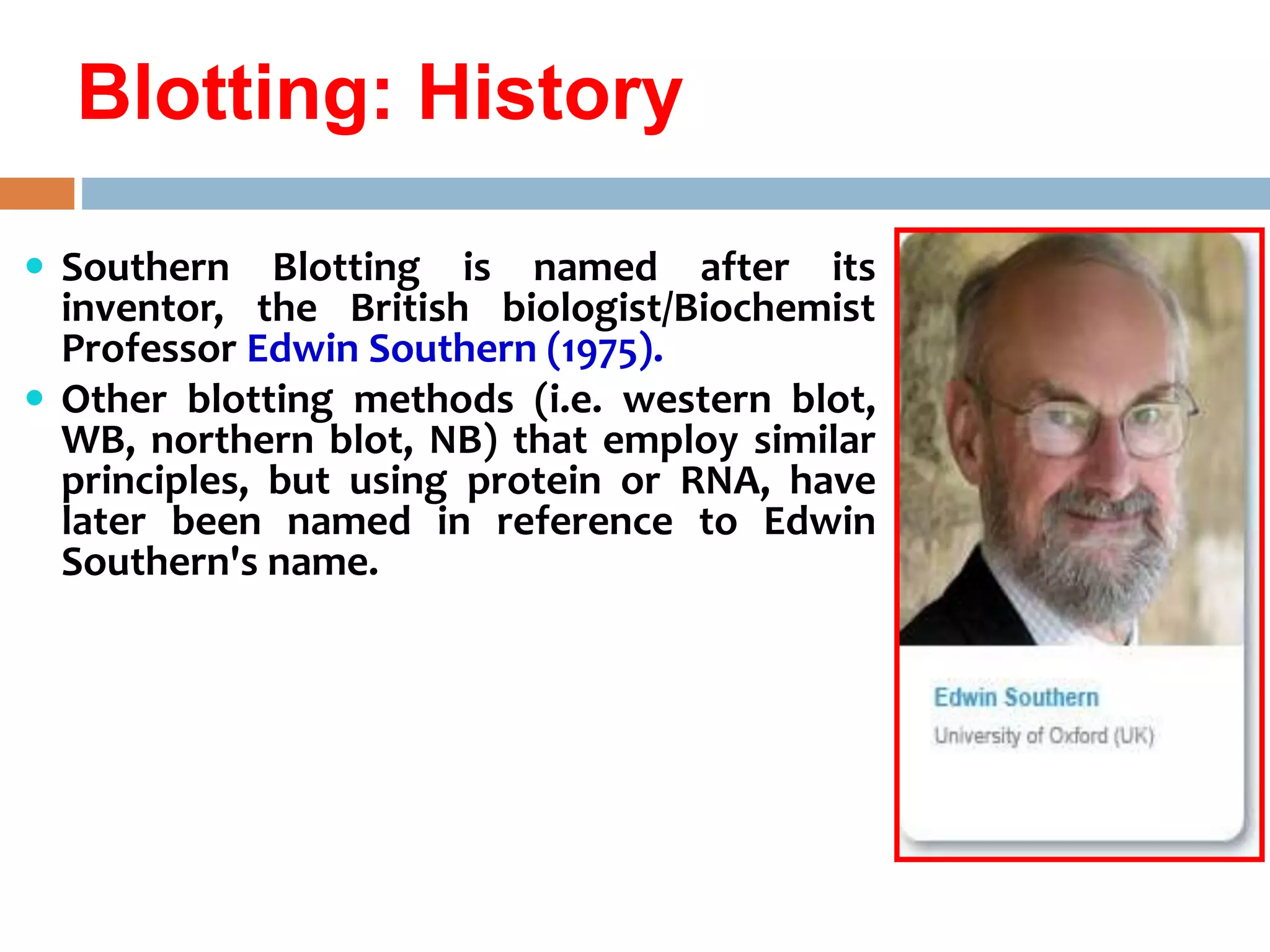 Northern, southern and western blotting | PPTX