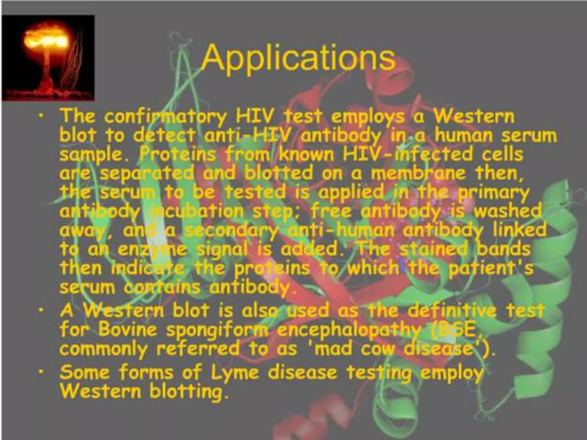Northern, southern and western blotting | PPTX