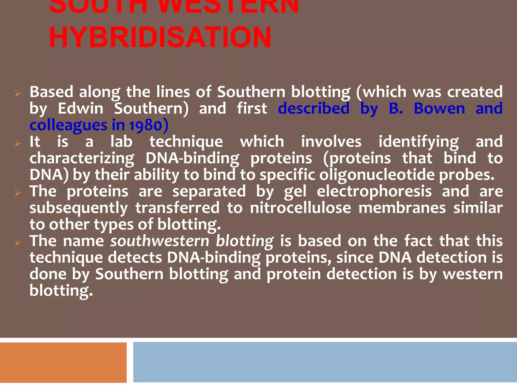 Northern, southern and western blotting | PPTX