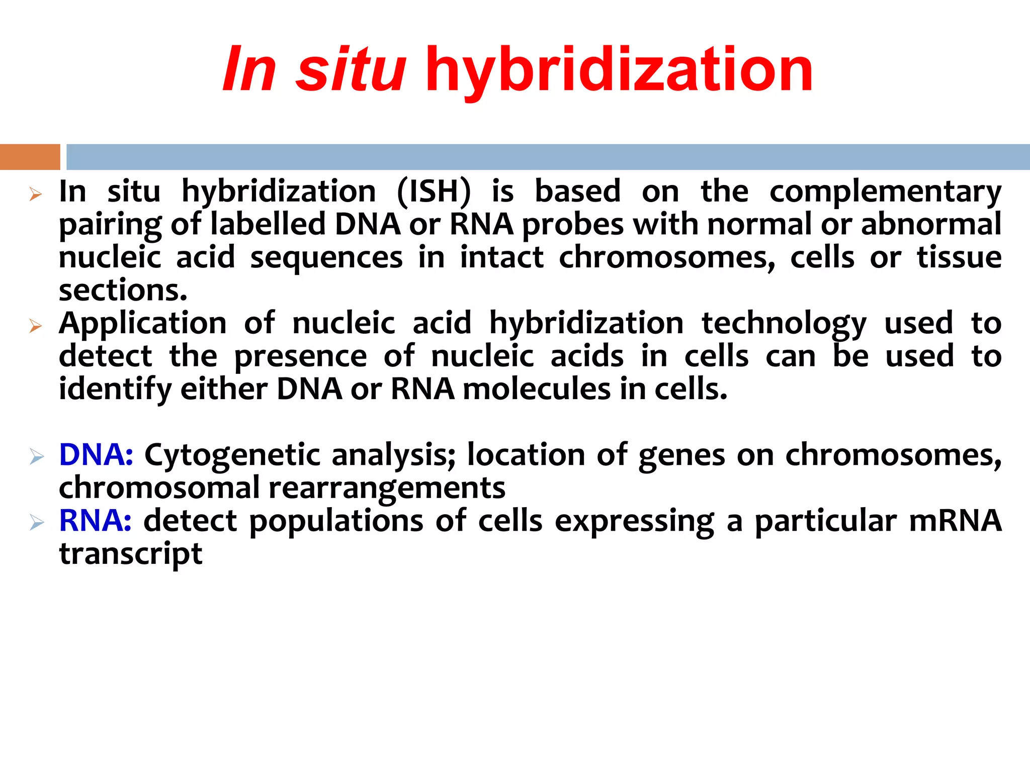 Northern, southern and western blotting | PPTX