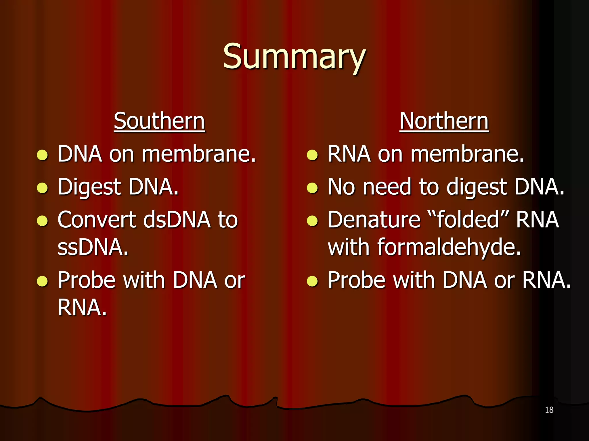 Northern & Southern Blots presentation.ppt