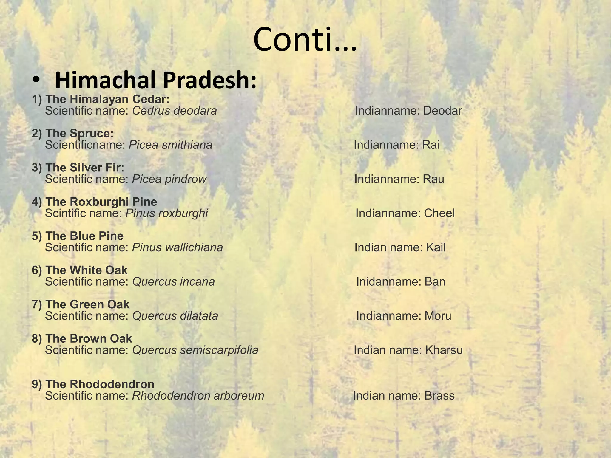 North indian plantations: An Introduction. | PPTX
