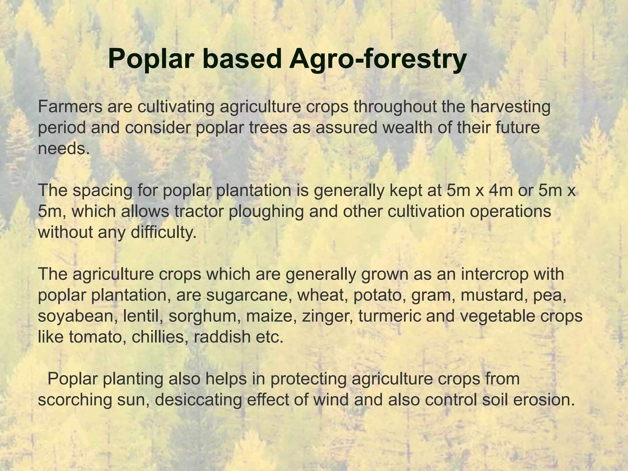 North indian plantations: An Introduction. | PPTX