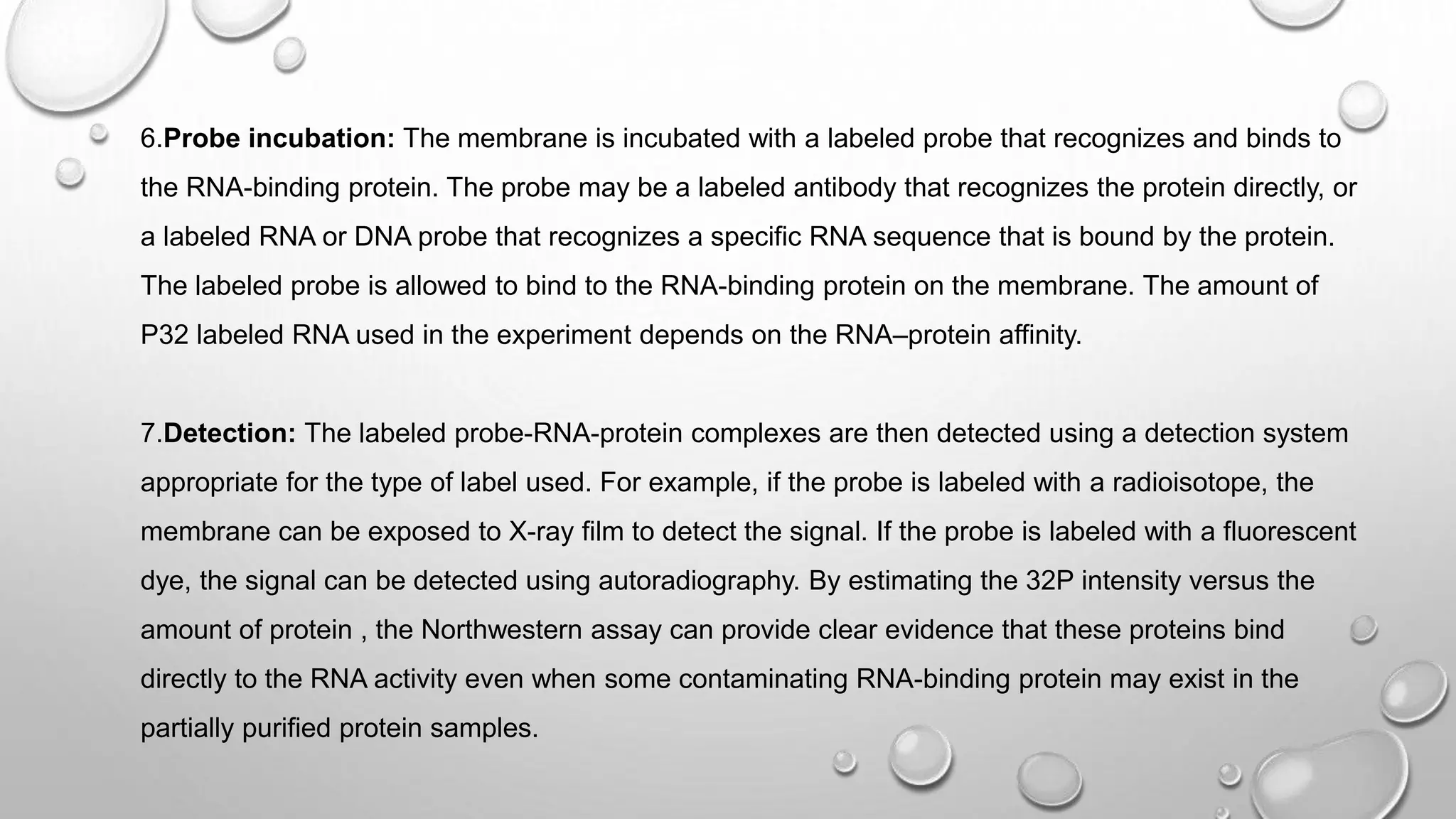 NORTHWESTERN BLOTTING.pptx