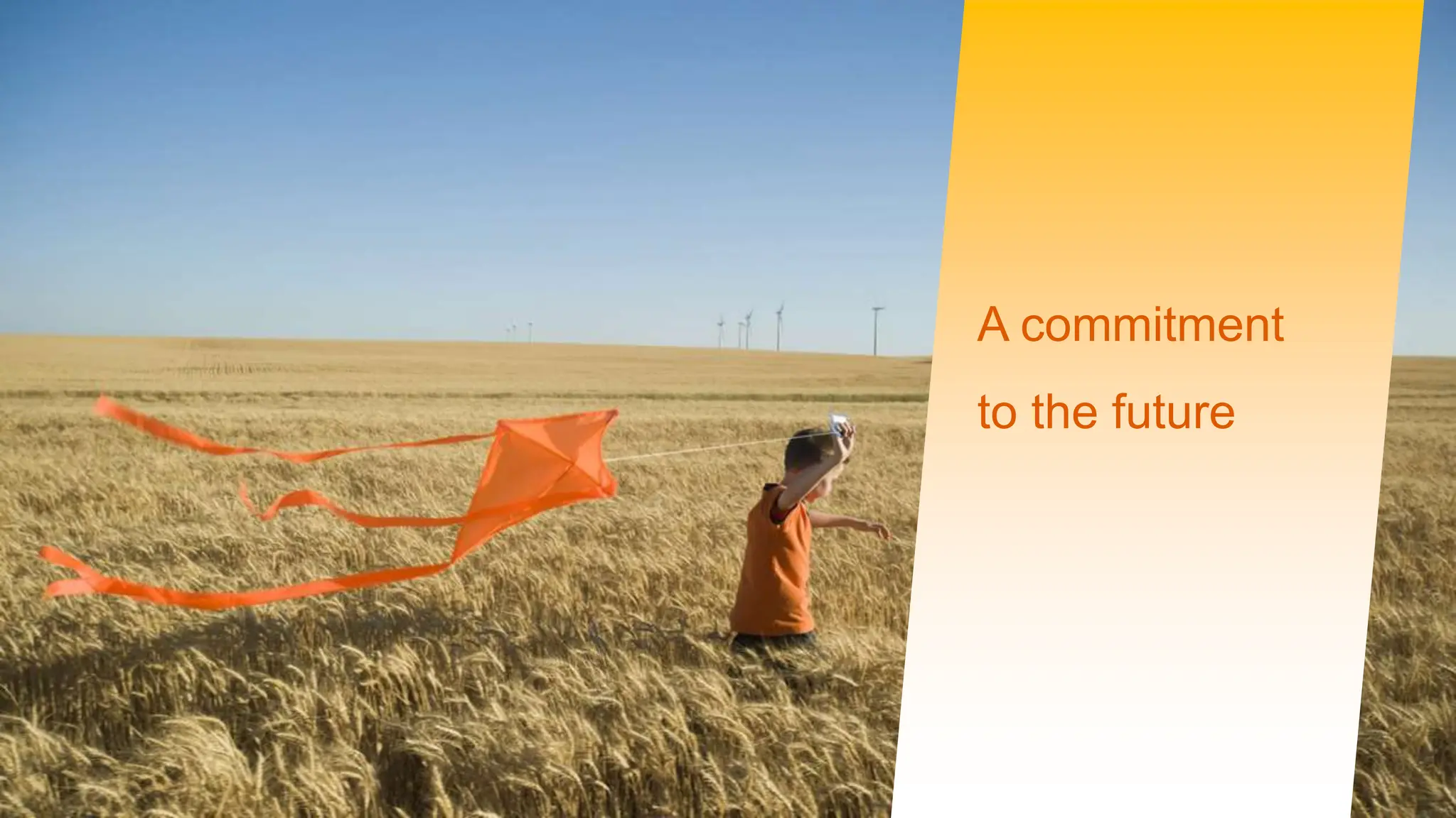 Northwind presentation for COntoso about sales | PPT