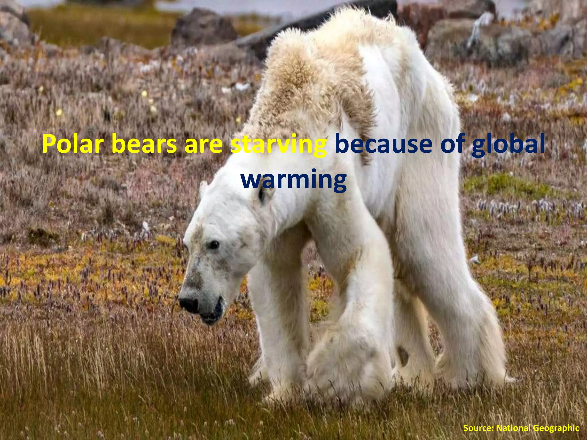 Norvergence - 10 most heart-wrenching images feeling the impact of ...