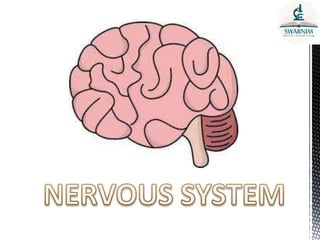 Norvous system.pptx