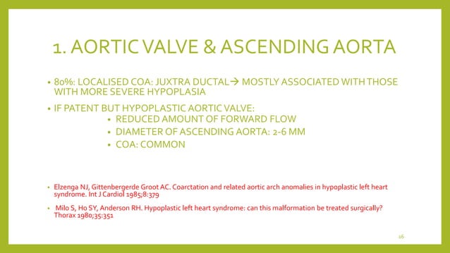 HYPOPLASTIC LEFT HEART SYNDROME & NORWOOD PROCEDURE- A REVIEW | PPTX