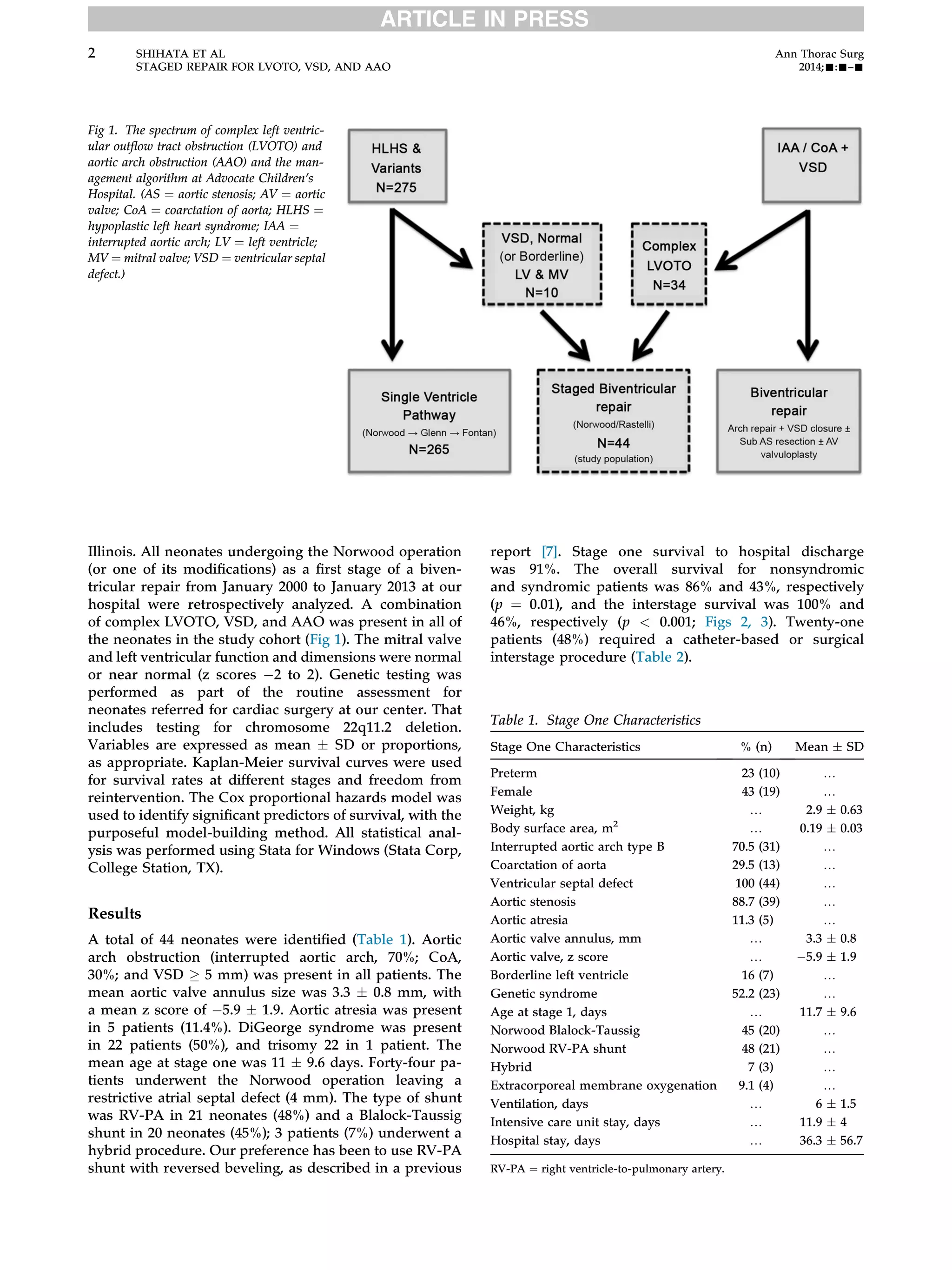 Norwood:rastelli | PDF