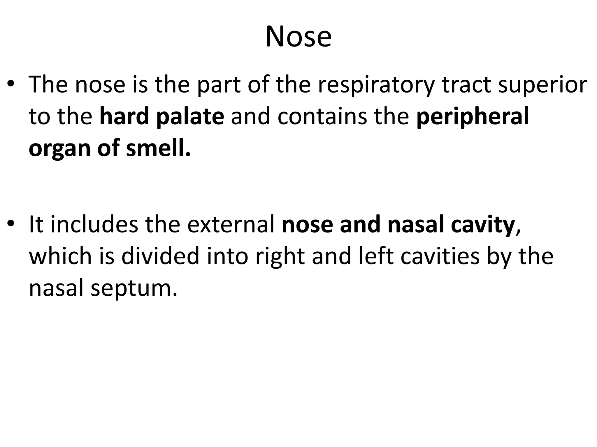 Nose | PPTX