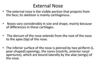 Nose | PPTX