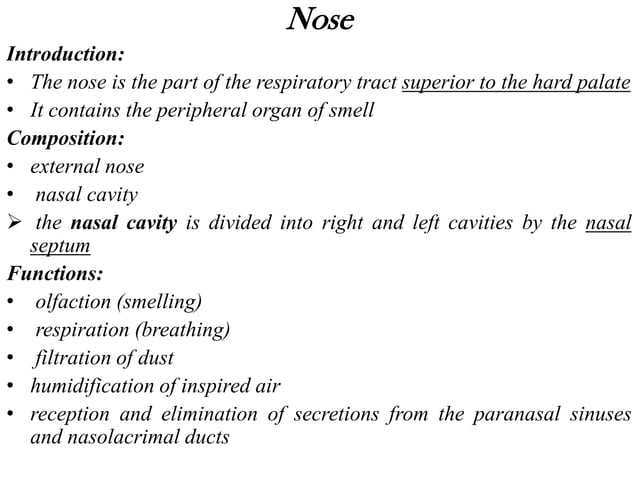 Nose | PPTX | Ear, Nose and Throat Conditions | Diseases and Conditions