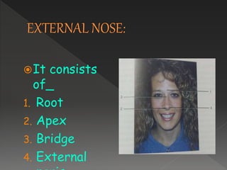 Nose | PPT