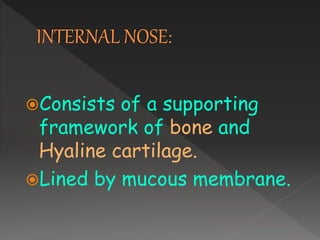Nose | PPT
