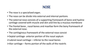 Nose | PPTX