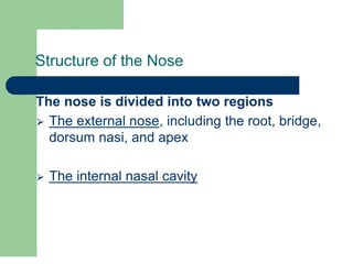 Nose.pptx