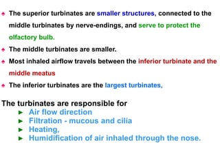 Sense Organ - Nose - Anatomy of Nose & Physiology of Olfaction | PPT ...