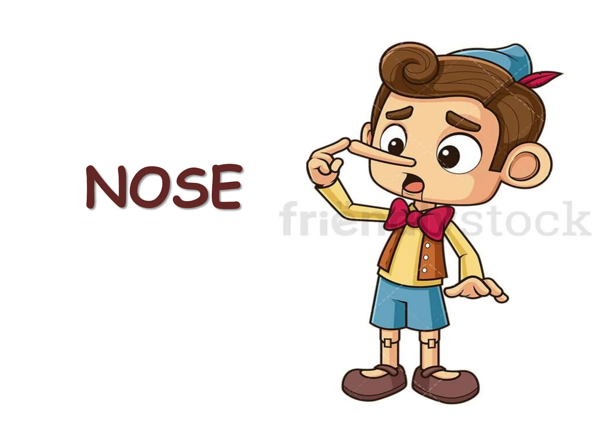 Nose anatomy & physiology sensory system | PDF