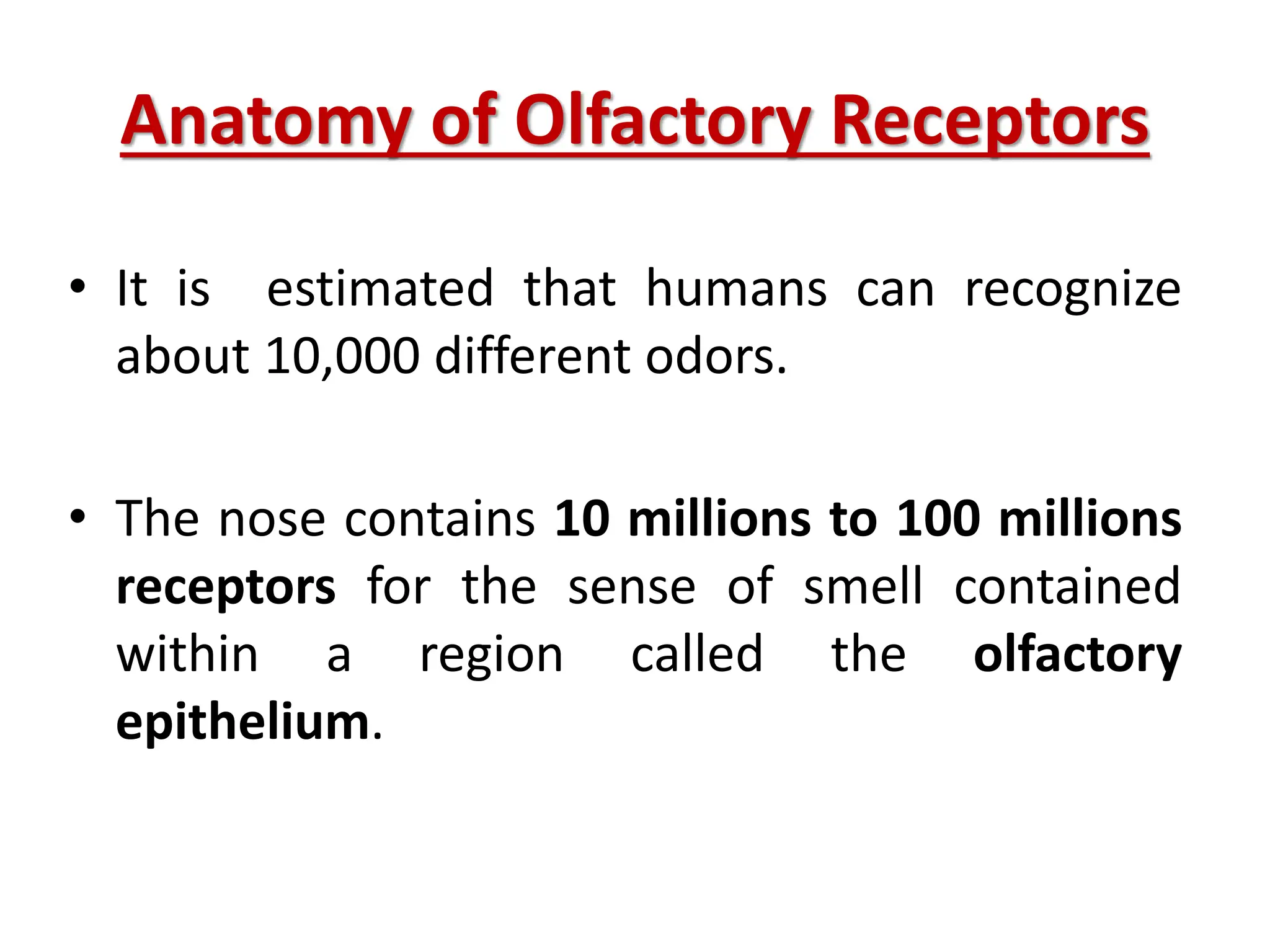 Nose anatomy & physiology sensory system | PDF
