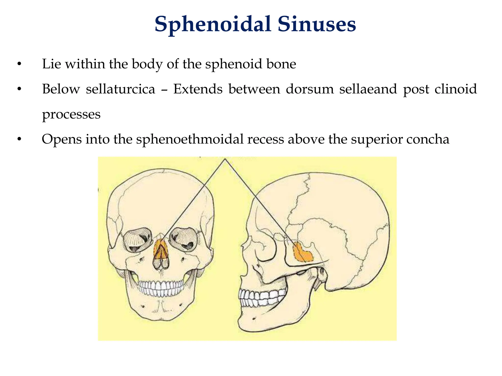 anatomy and physiology of Nose and its disorders | PPTX