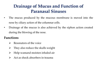 anatomy and physiology of Nose and its disorders | PPT