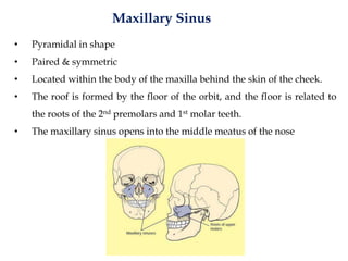 anatomy and physiology of Nose and its disorders | PPT