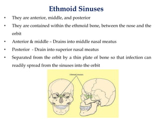 anatomy and physiology of Nose and its disorders | PPT
