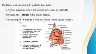 NOSE anatomy and physiology.pdf@_0000001 | PDF