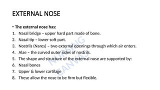 Applied Anatomy and applied physiologyof NOSE.pptx