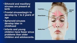 NOSE-AND-SINUSE-1ahqt4hc46h365h45h54ch54hc6 | PPT