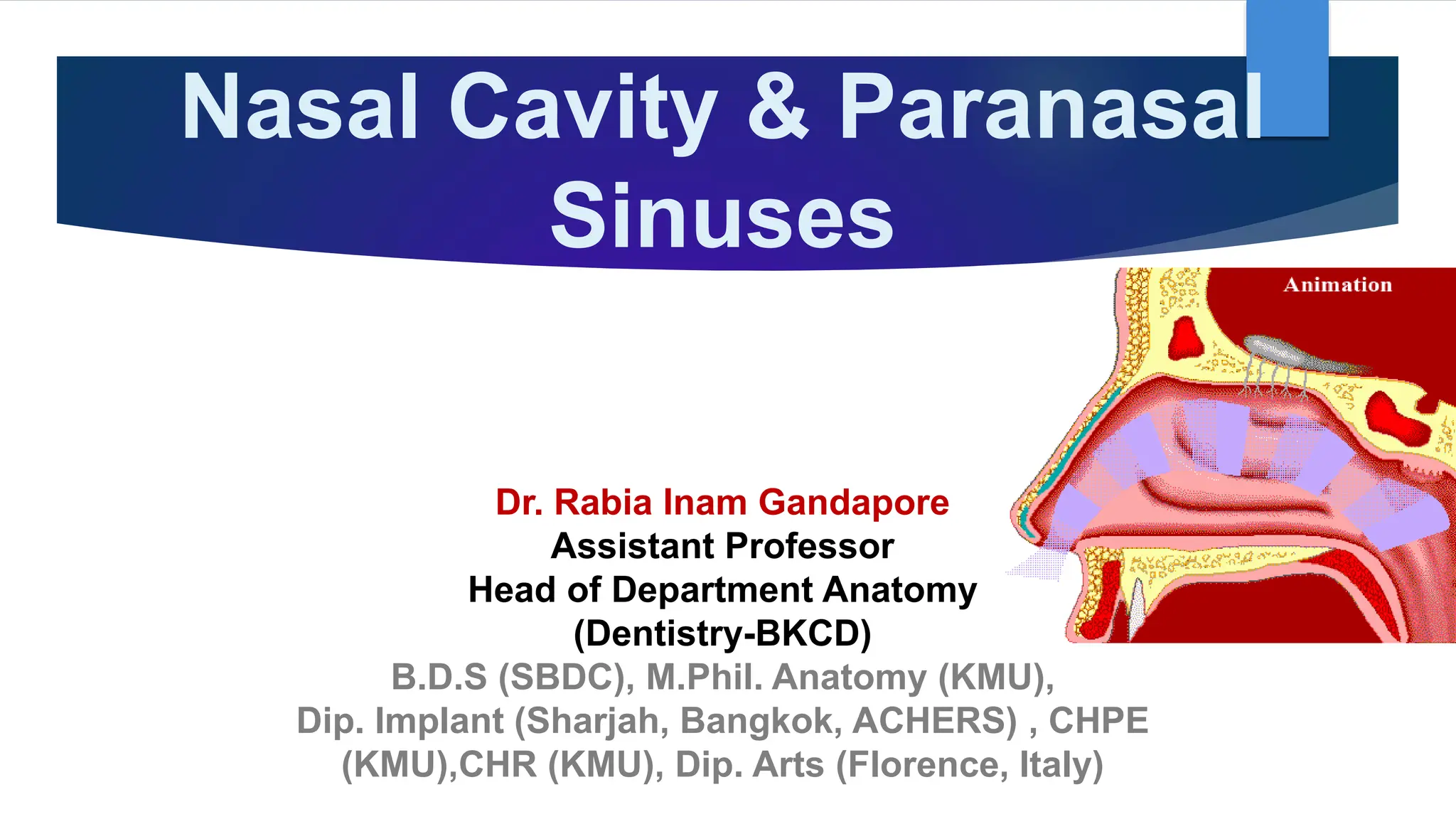 Nose-Nasal Cavity & Paranasal Sinuses BY Dr.Rabia Inam Gandapore.pptx | Free Download