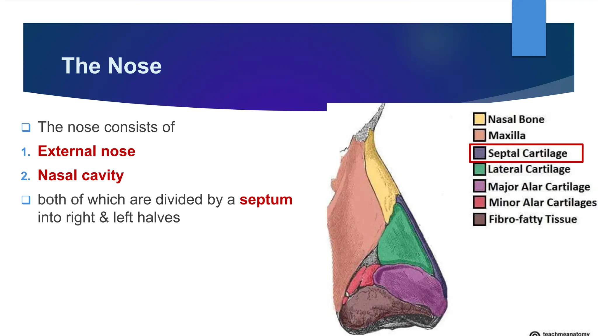 Nose-Nasal Cavity & Paranasal Sinuses BY Dr.Rabia Inam Gandapore.pptx