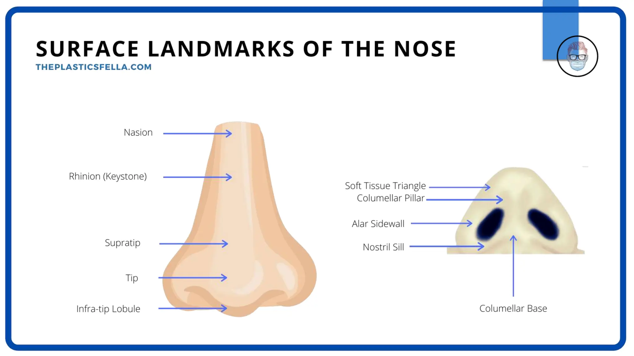 Nose-Nasal Cavity & Paranasal Sinuses BY Dr.Rabia Inam Gandapore.pptx