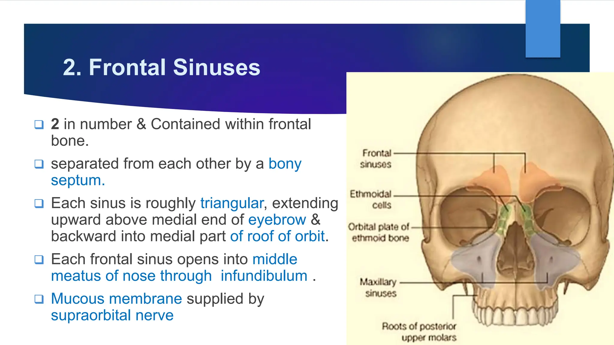 Nose-Nasal Cavity & Paranasal Sinuses BY Dr.Rabia Inam Gandapore.pptx