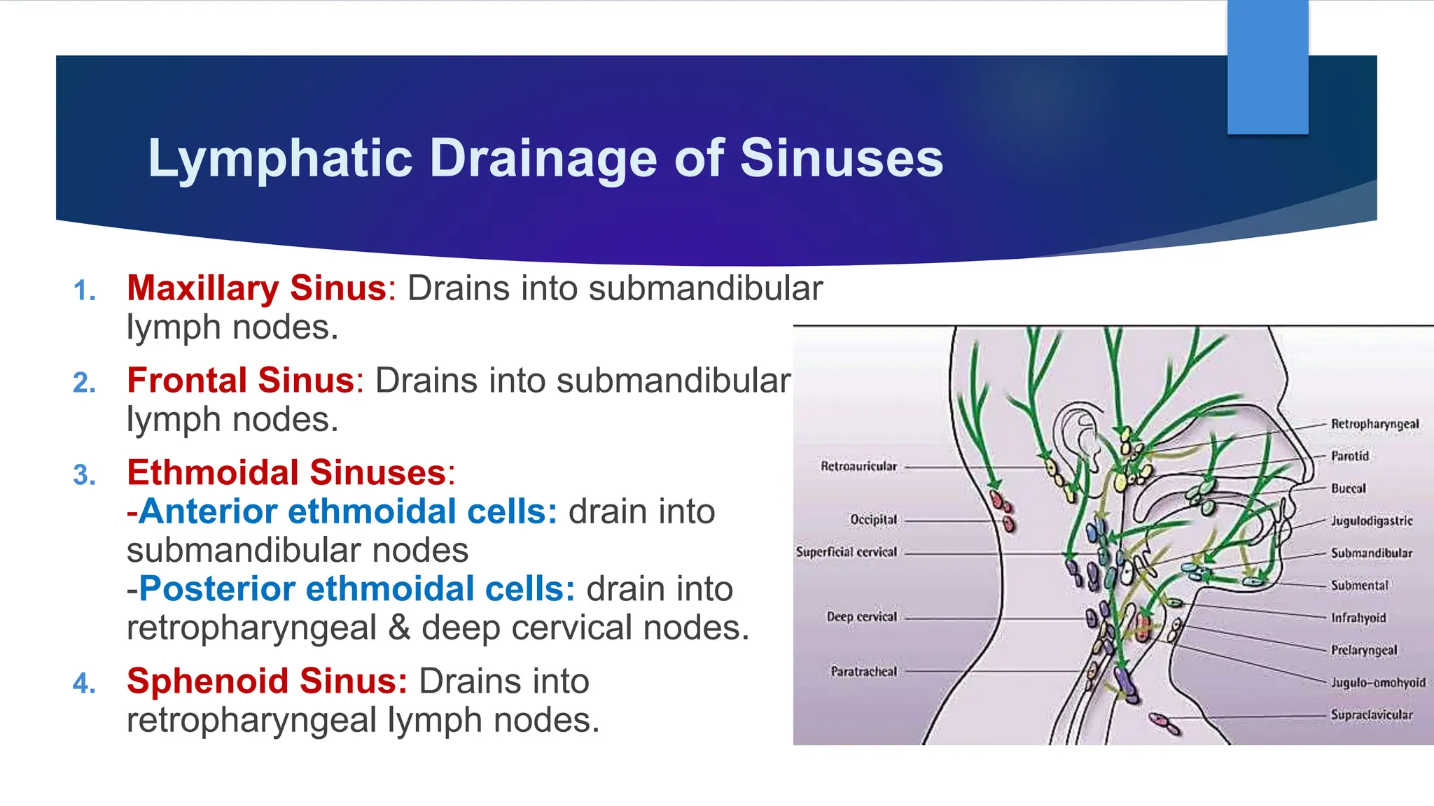 Nose-Nasal Cavity & Paranasal Sinuses BY Dr.Rabia Inam Gandapore.pptx