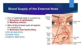 Nose-Nasal Cavity & Paranasal Sinuses BY Dr.Rabia Inam Gandapore.pptx