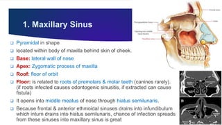 Nose-Nasal Cavity & Paranasal Sinuses BY Dr.Rabia Inam Gandapore.pptx