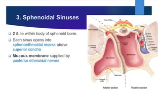 Nose-Nasal Cavity & Paranasal Sinuses BY Dr.Rabia Inam Gandapore.pptx