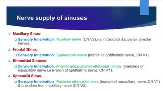 Nose-Nasal Cavity & Paranasal Sinuses BY Dr.Rabia Inam Gandapore.pptx